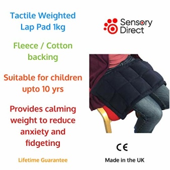 Sensory Direct Fleece Weighted Lap Pad - 1kg, for School, at Home ...